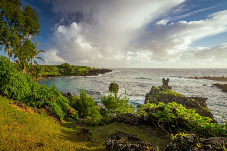 The 14 Most Exotic Black Sand Beaches in the WorldThe World's Greatest ...