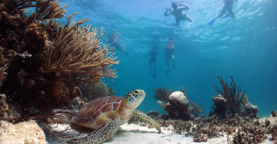 Riviera Maya day trips: Three parks perfect for family adventuresThe ...